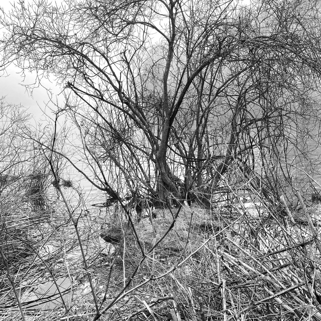 Joy Bush & Tom Peterson - Five Points Center For The Visual Arts