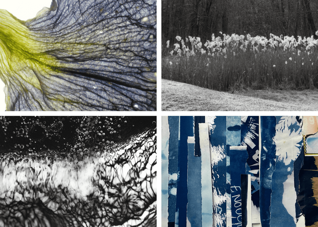Field Of View - Five Points Center For The Visual Arts