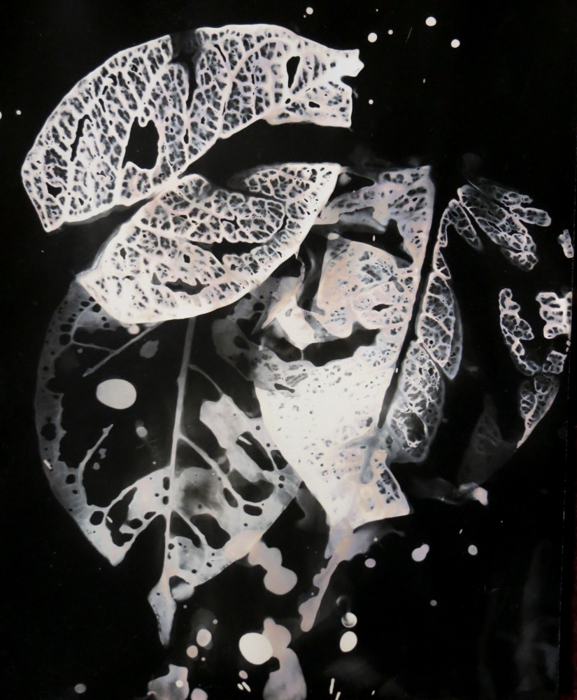 Chemigrams - Five Points Center For The Visual Arts