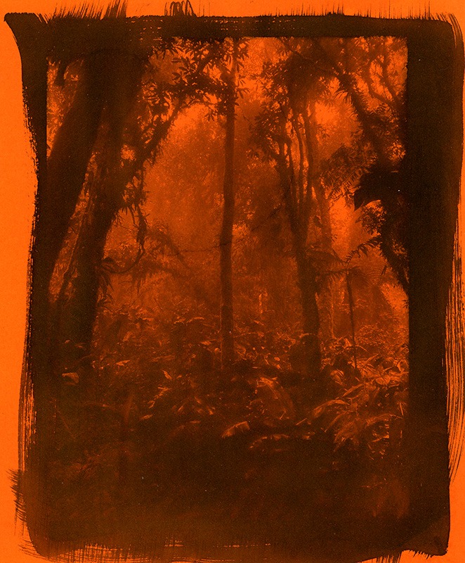 Cyanotypes in Color - Five Points Center For The Visual Arts